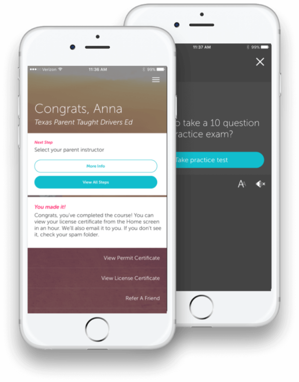 Aceable - Teen Driver's Ed for the 21st century | The TipToe Fairy