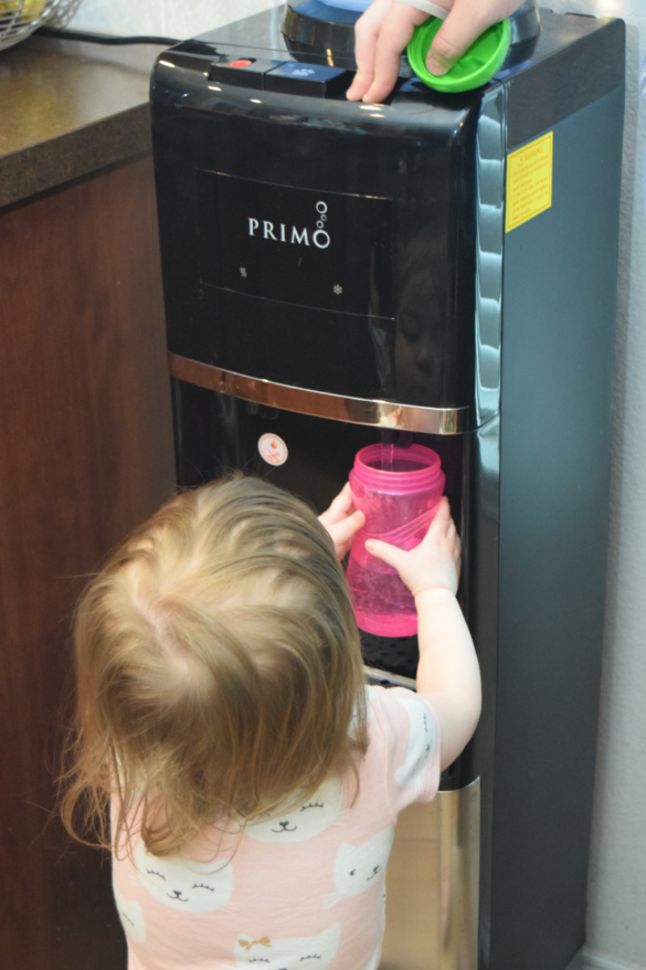 Why We Love the Primo Water Dispenser with Pet Station | The TipToe Fairy