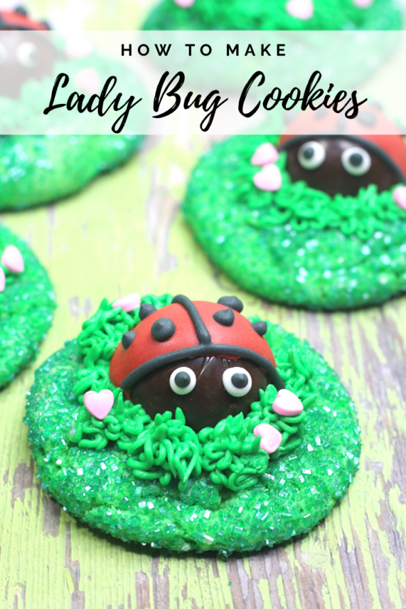 LadyBug Love Cookies | The TipToe Fairy