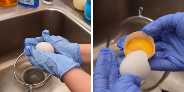 Teaching Kids about Tooth Decay | The TipToe Fairy