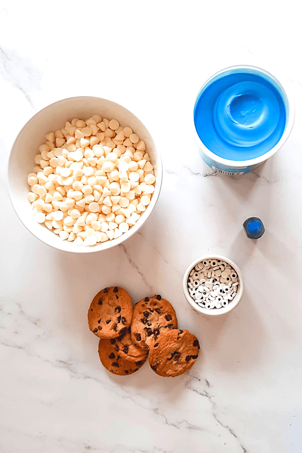 Cookie Monster Fudge & FREE Printable Preschool Cookie Game | The ...