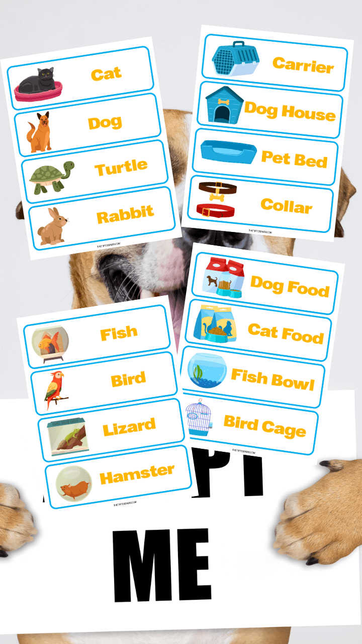 Preschool Pretend Play Adopt a Pet Printables Kit | The TipToe Fairy