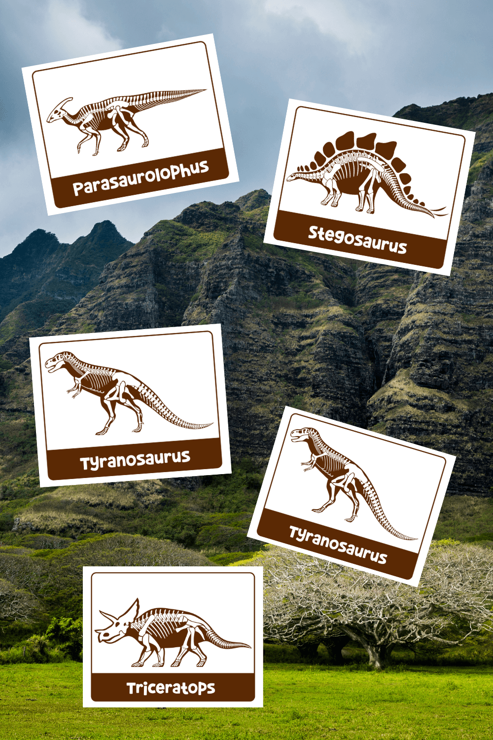 Download FREE Preschool Pretend Play Dinosaur Museum Printables Bundle ...