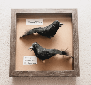 How to make DIY Creepy Crawlie Halloween Shadow Box Decor | The TipToe ...
