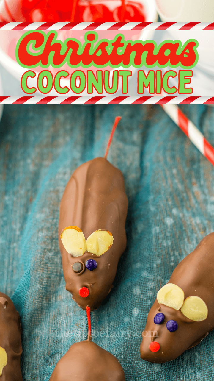 How to make Christmas Coconut Mice | The TipToe Fairy