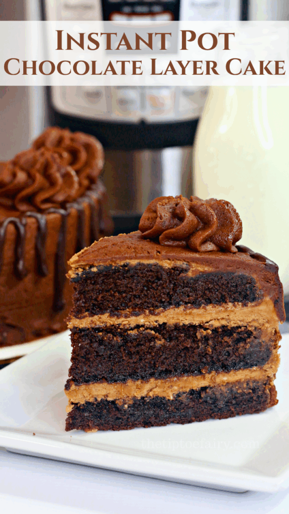 Instant Pot Chocolate Layered Cake That’ll Wow Your Tastebuds | The ...